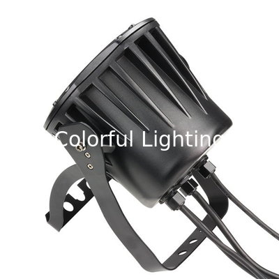 12x10W Outdoor LED 4 in 1 Par Can